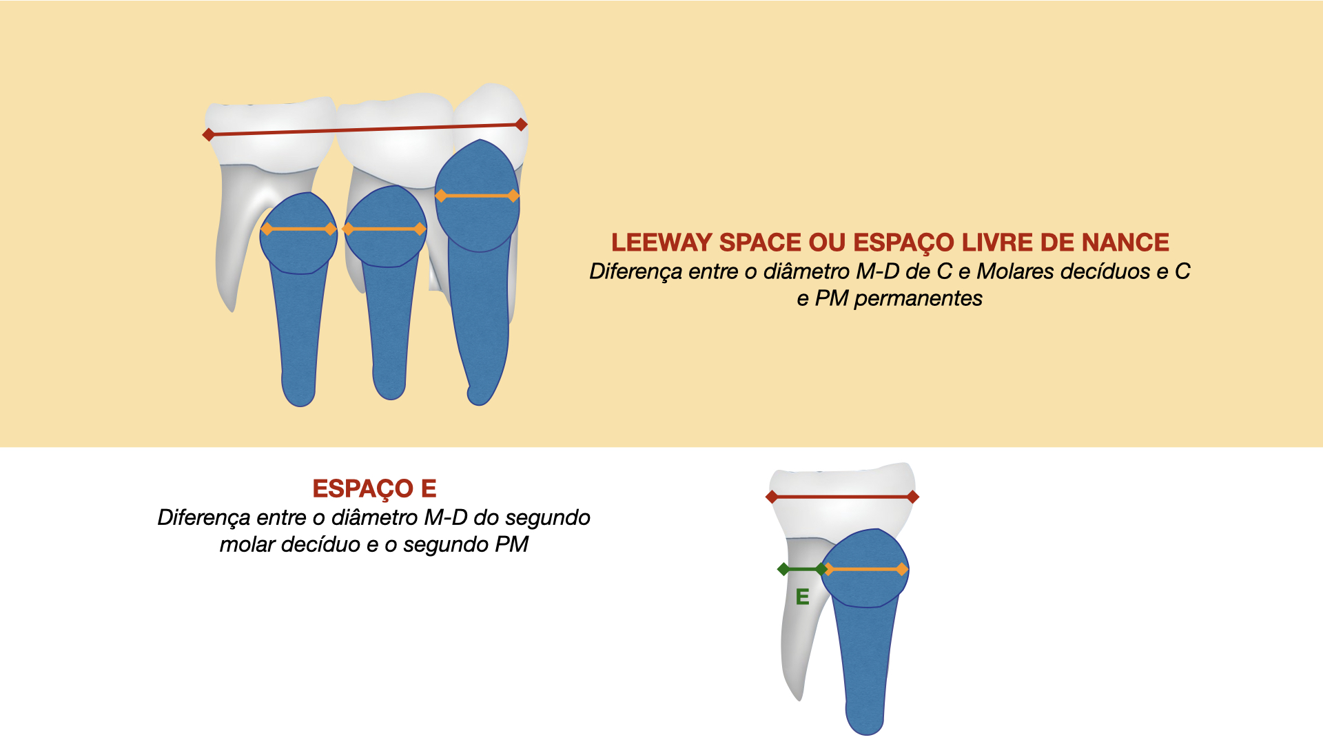 Discrepância positiva | Orthopedlearning
